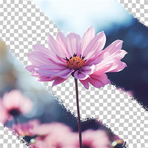Beautiful Flower Psd 40 High Quality Free Psd Templates For Download
