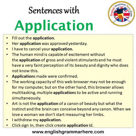 Sentences With Application Application In A Sentence In English