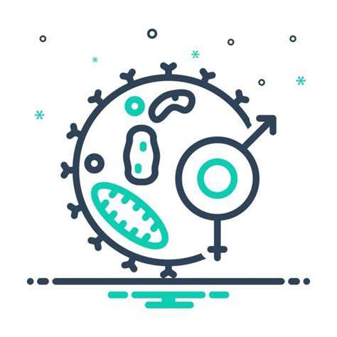 810 Std Icon Stock Illustrations Royalty Free Vector Graphics And Clip