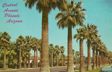 Central Avenue Phoenix Arizona Arizona Memory Project