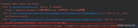 python selenium chromedriver的配置和问题解决 csdn博客