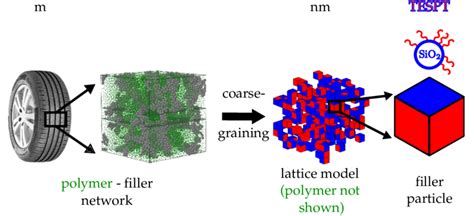Hierarchy Of Scales The Polymer Matrix Within An Elastomer Composite