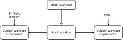Flow Diagram Of Experiments Download Scientific Diagram