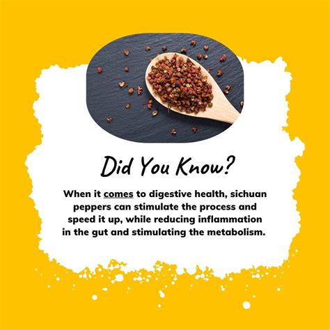 The Spice Route Routethespice Instagram Photos And Videos