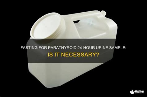 Fasting For Parathyroid 24 Hour Urine Sample Is It Necessary Medshun
