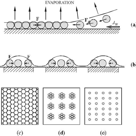 Pdf Capillary Forces And Structuring In Layers Of Colloid Particles