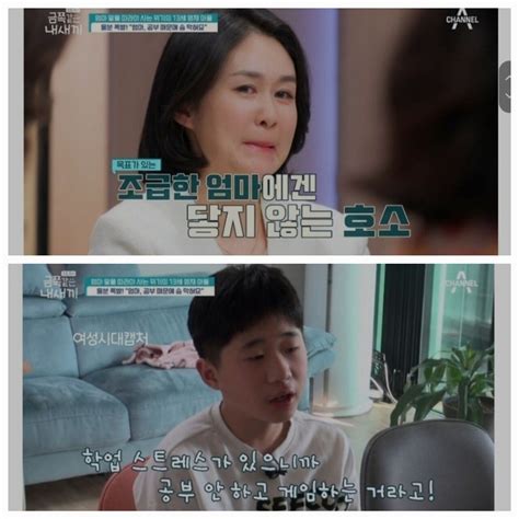 수학천재 금쪽이의 엄마를 위한 날카로운 피드백  유머 움짤 이슈 에펨코리아