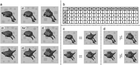 Stimuli Design A Example Of Stimuli Taken From One Of The 12 Download Scientific Diagram