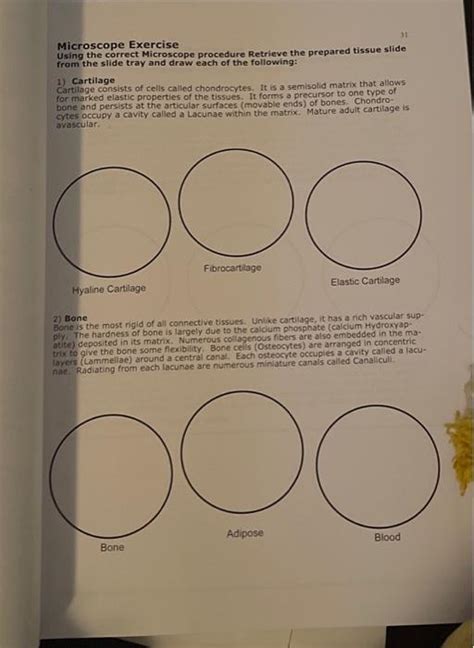 Solved Microscope Exercise Using The Correct Microscope