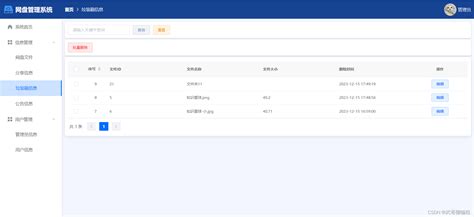 【从0带做】个人网盘系统，基于springbootvue的网盘系统，文件管理系统vue网盘项目 Csdn博客