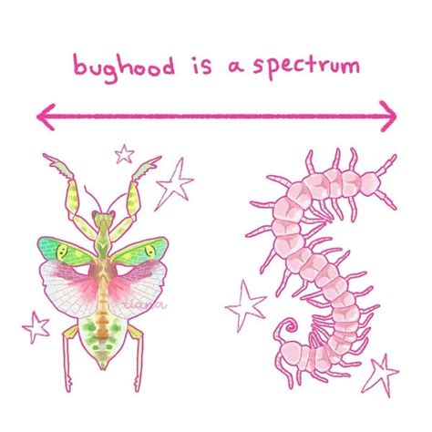 Pin By Strawberry On Aesthetic In 2025 Beautiful Bugs Bug Art Bugs