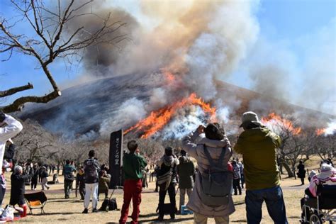 3月5日 伊豆のワンシーン（写真特集）伊東 フォトサービス 伊豆新聞デジタル