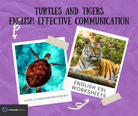 Turtles And Tigers English Effective Communication