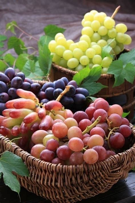 Pin On Фрукты ягоды Winter Fruit Healthy Fruits And Vegetables