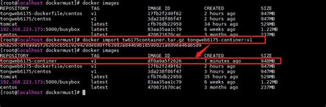 tongweb docker镜像做成与迁移 csdn博客