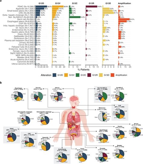 Anh Tran On Linkedin Real World Heterogenous Kras Mutation Across