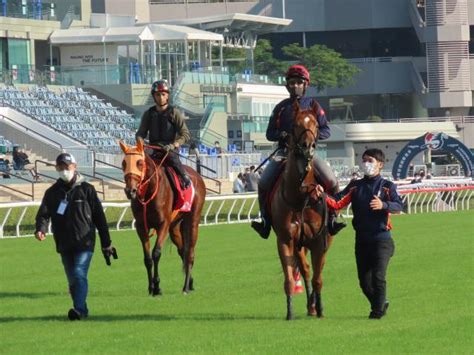【香港国際競走】12月8日の日本馬14頭の近況 競馬ニュース Netkeiba