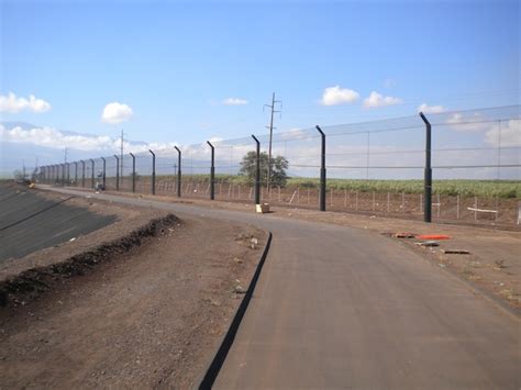 netting and barrier services judge netting