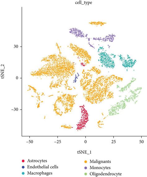 Single Cell RNA Seq Results For The Model Genes Were Validated In Download Scientific Diagram