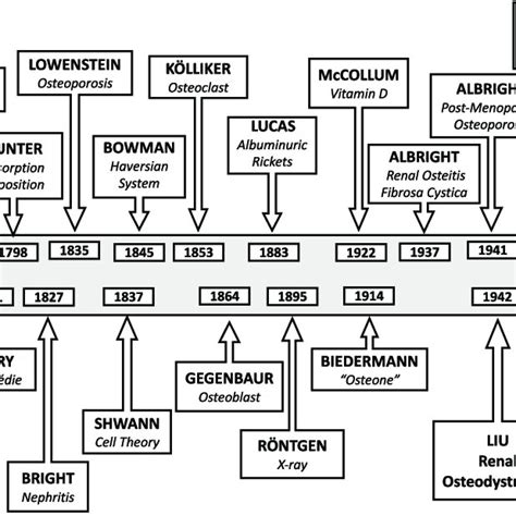 Timeline Of The Evolving Understanding Of The Relation Of Bone Boxes Download Scientific