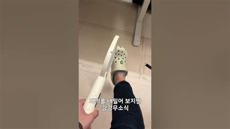 현실에서 버그를 만난 개발자 개발자 개발자브이로그 Youtube