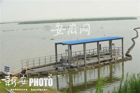 合肥巢湖边将建5座藻水分离站 提炼藻粉出口美国安徽频道凤凰网
