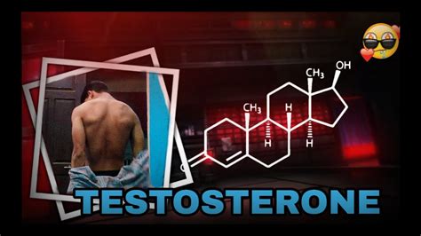 Increase Your Testesterone Naturally Must Watch Youtube