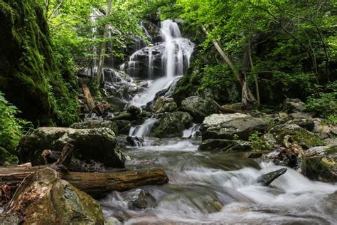 Shenandoah National Park Attractions Best Things To See Do Best Places To Camp National