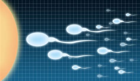 Must Know Tips For Improving Sperm Morphology