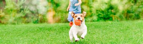 How To Reduce Soil Compaction Jonathan Green