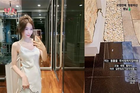 방송 신주아 태국 럭셔리 대저택에 뱀이 “하나도 안 무서워” 의연 Ytn