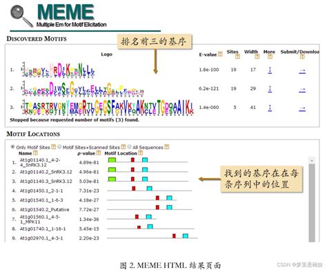 【生信mooc】生物序列比对工具——多序列比对 Csdn博客