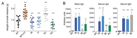 Microbiota Drives Airway Iga Class Switch Via Dc Derived Tgf β Nihilists Immunology
