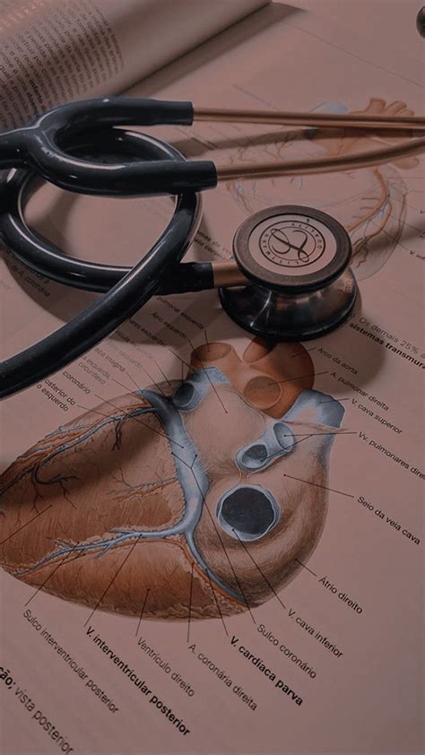 Pin De Nurbek Em Pins By You Escola De Medicina Material De