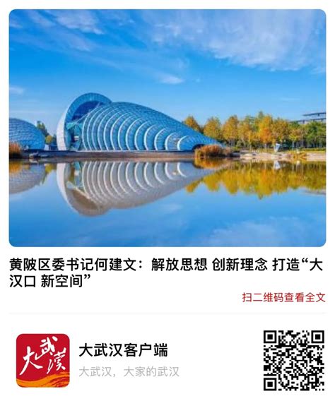黄陂区委书记何建文解放思想 创新理念 打造大汉口 新空间