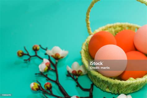 청록색 배경에 그려진 계란과 개화 지점이 있는 바구니 행복 한 부활절 카드 개념에 대한 스톡 사진 및 기타 이미지 개념 개념과 주제 계절 Istock