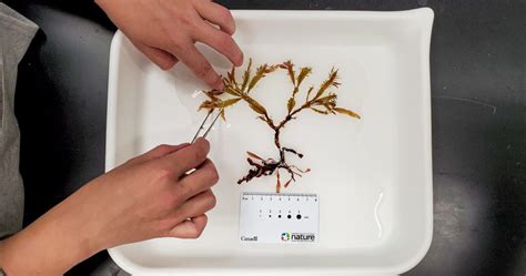 Project Laying Groundwork To Better Track Future Climate Impacts On
