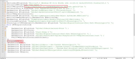 Malware Analysis Remcosrat Bar Magnezi 0xmrmagnezi