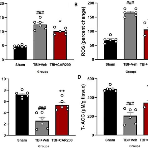 veterinary coma scale vcs scores 4 and 24 h after tbi induction in
