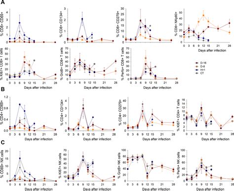 Evolution Of T Cell And Nk Cell Populations During The Course Of Lasv Download Scientific