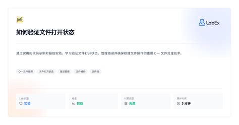 如何验证文件打开状态 labex