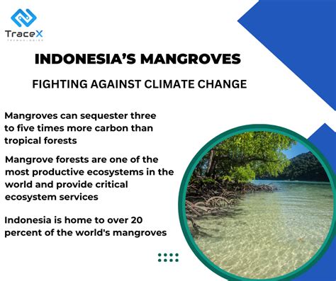 Carbon Offset Projects In Indonesia
