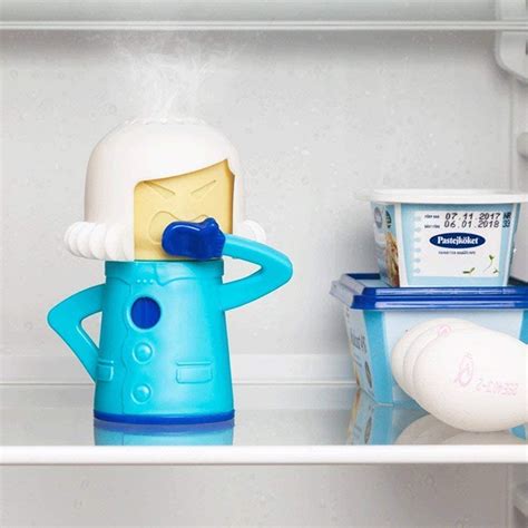 This Fridge Deodorizer Is A Must Have For A Stinky Fridge