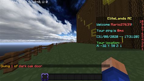 Cannot Give Some Items Using EssentialsX S Item And Give Commnads