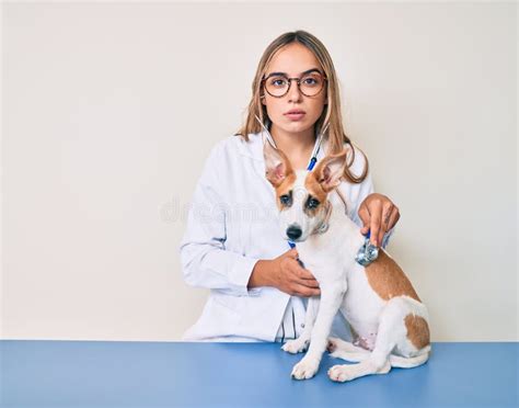 Young Beautiful Blonde Veterinarian Woman Checking Dog Health Using