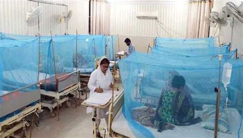 Punjab Grapples With Alarming Rise In Dengue Cases ThePenPK