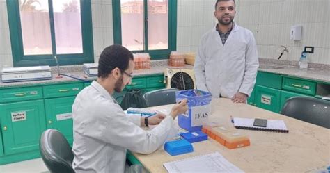 وزارة الزراعة فحص 850 ألف طن بطاطس للتصدير منذ بداية العام اليوم السابع