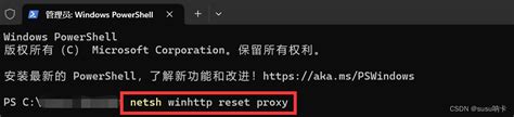 Win11关闭手动代理服务器netsh Win Reset Proxy Csdn博客