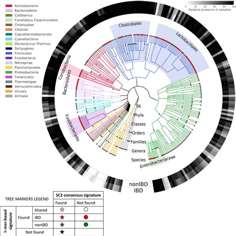 Taxonomic Tree Showing Sc2 Taxonomy Consensus Signature And Sc1 Download Scientific Diagram