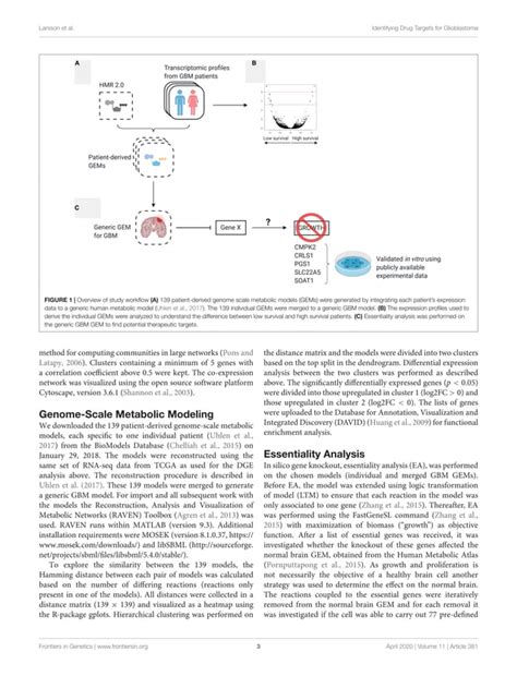 Genome Scale Metabolic Modeling Of Glioblastoma Reveals Promising Targets For Drug Development Pdf